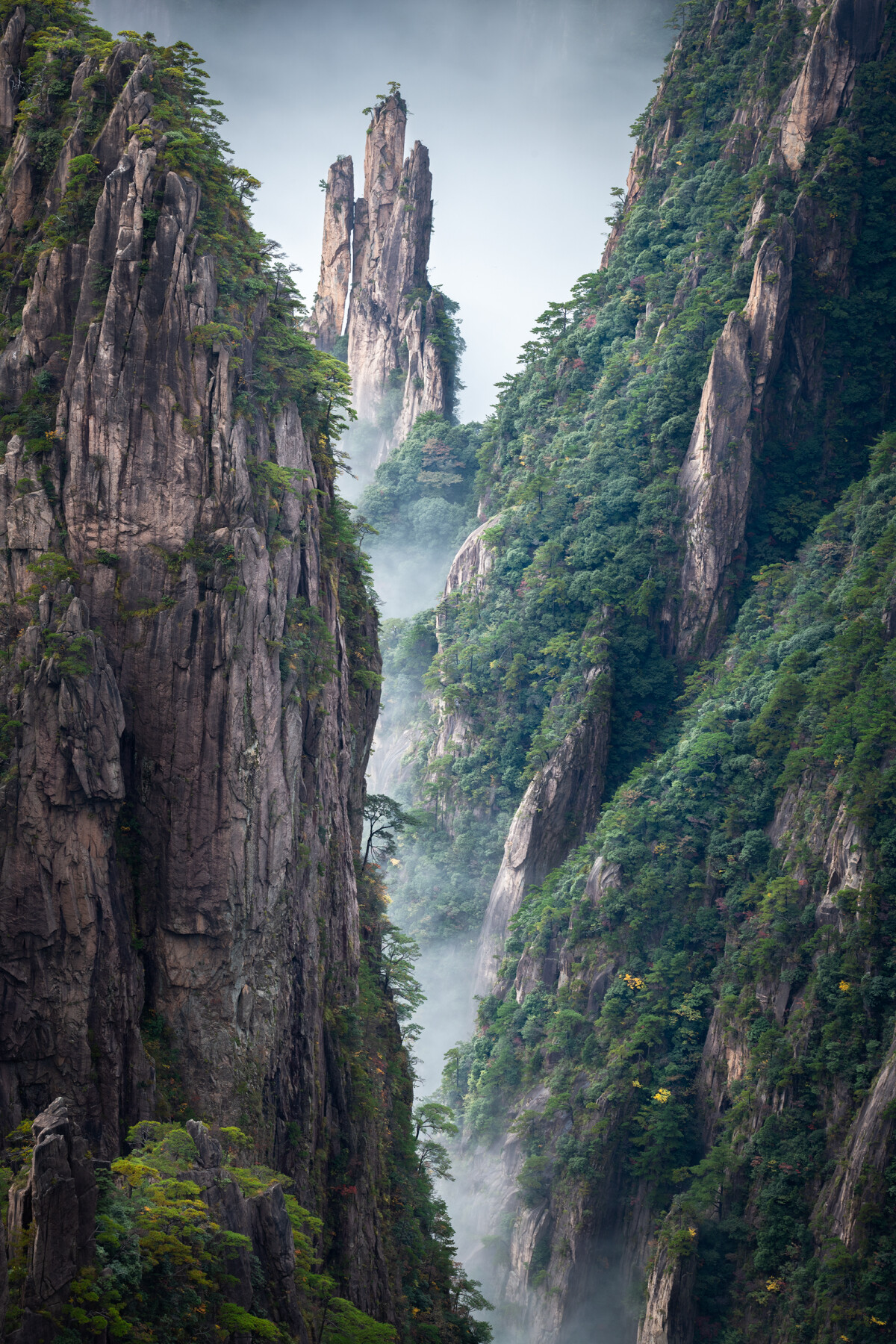 Yellow Mountains Autumn Workshop - Available Light Images